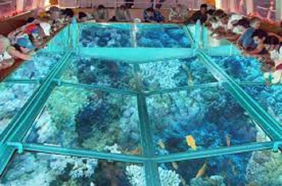 Glass Bottom Boat Trip – Continental Tours