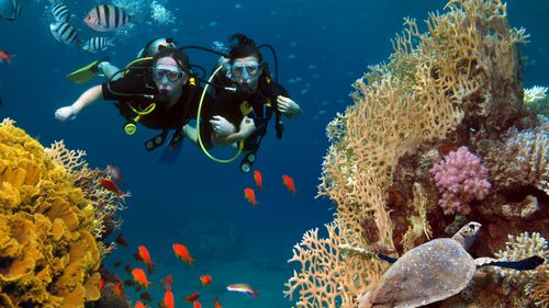 Scuba Diving – Continental Tours
